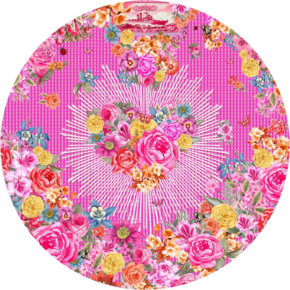 The Illustration Nation Print Collection | CAMILLA US – CAMILLA